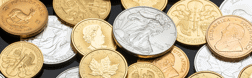 Bullion Coins vs Proof Coins: What Is the Difference? : Atkinsons Bullion