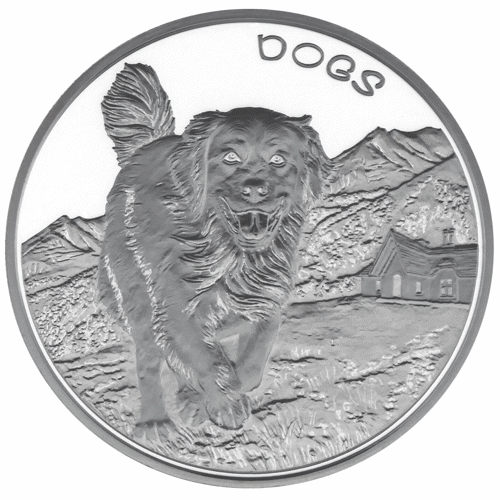 Pre-Owned 2022 Fiji Dogs 1oz Silver Coin - VAT Free | Pre-Owned ...
