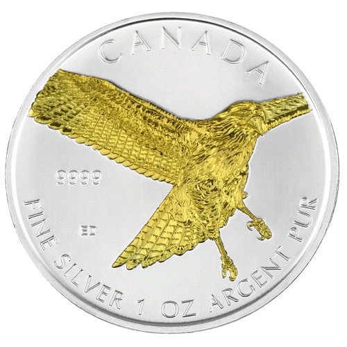 Pre-Owned 2015 Canadian Red-Tailed Hawk 1oz Gilded Silver Coin - VAT ...